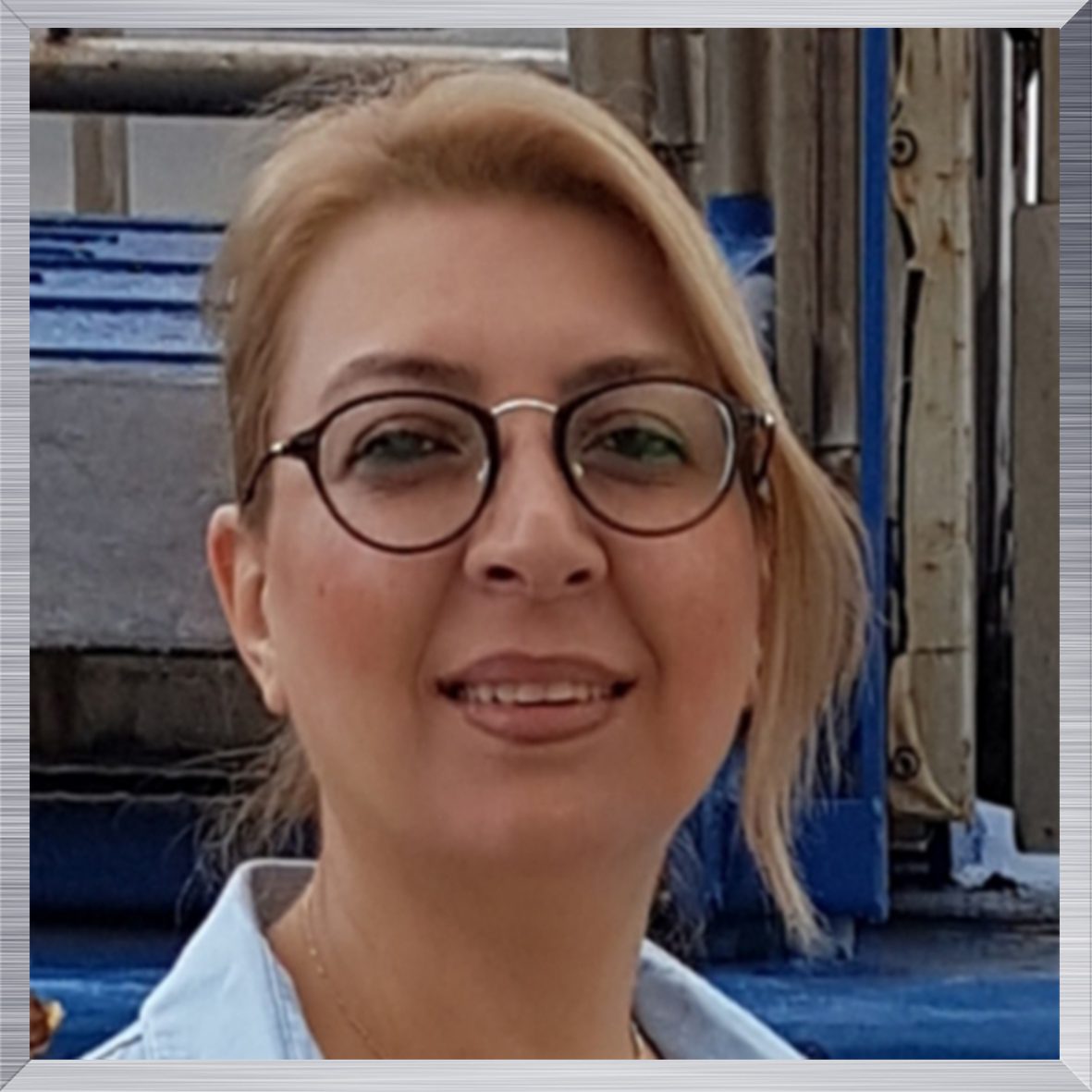 Mahin Tiani Khiabani - PARSFORTE